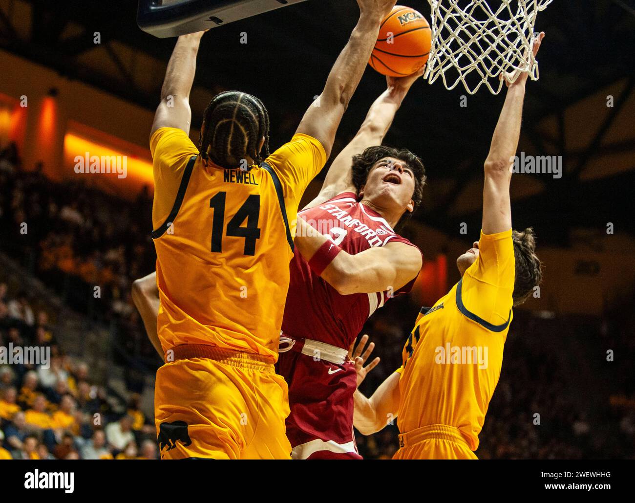 2024 0175 jpg hi-res stock photography and images - Alamy