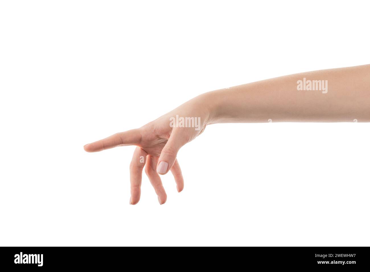 Young woman hand reaching isolated on white background, high detailed ...