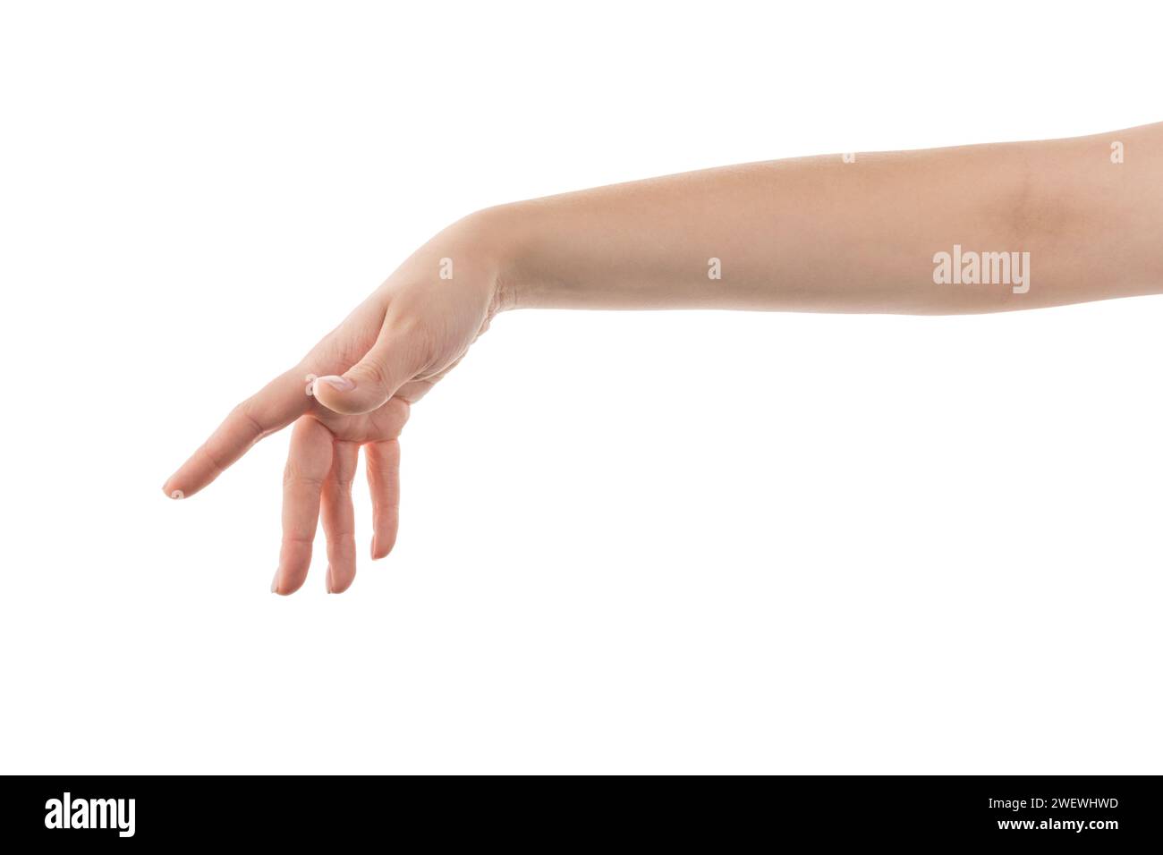 Young woman hand reaching isolated on white background, high detailed ...