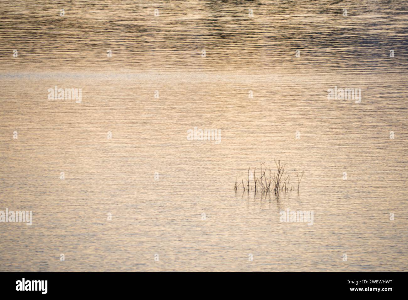 Vintage Paper Texture with Sand and Water Reflections in Nature ...