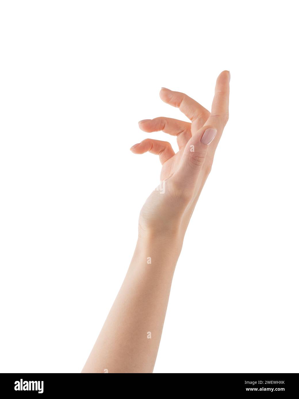 Young woman hand reaching isolated on white background, high detailed ...