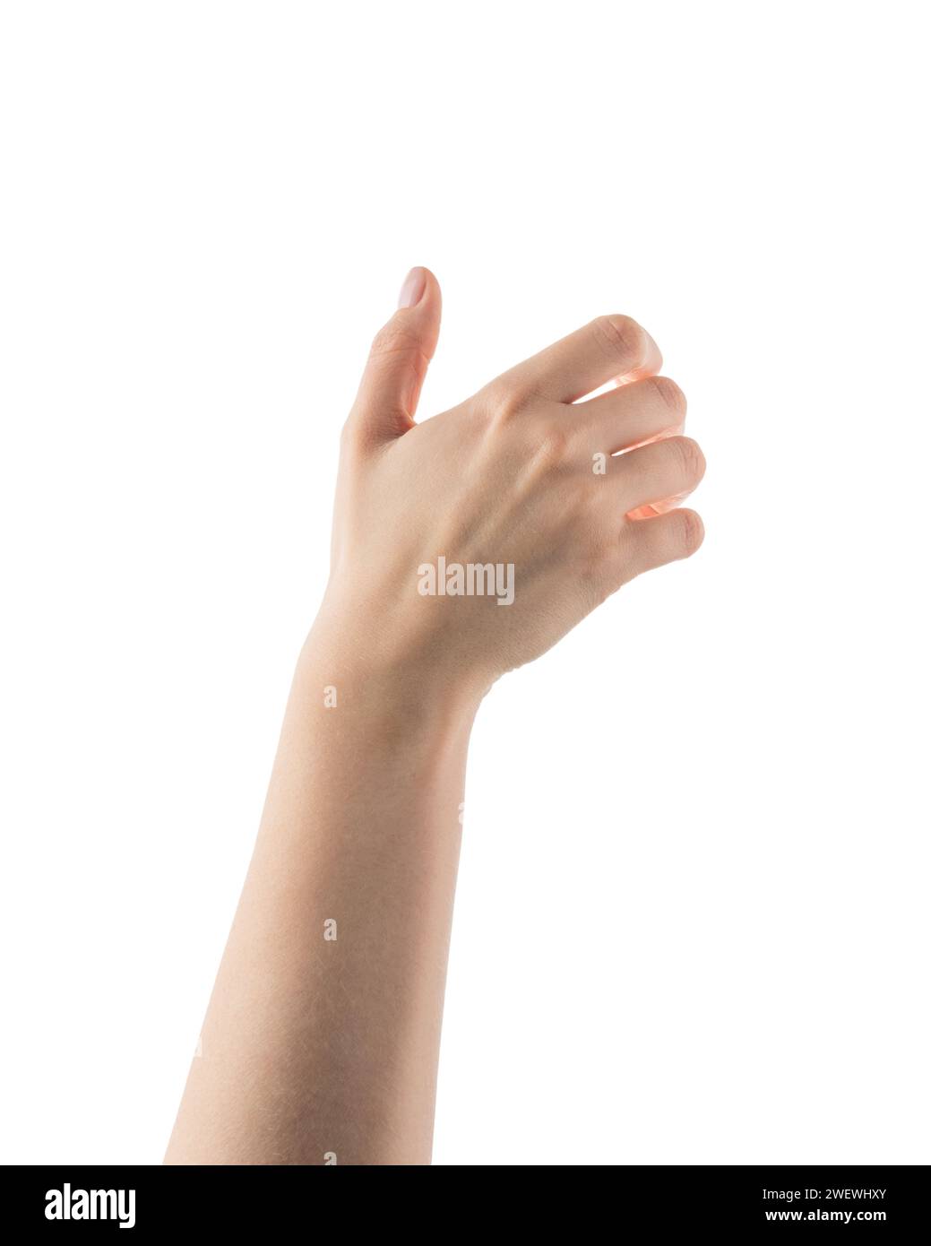 Young woman hand hold something isolated on white background, high detailed Stock Photo - Alamy