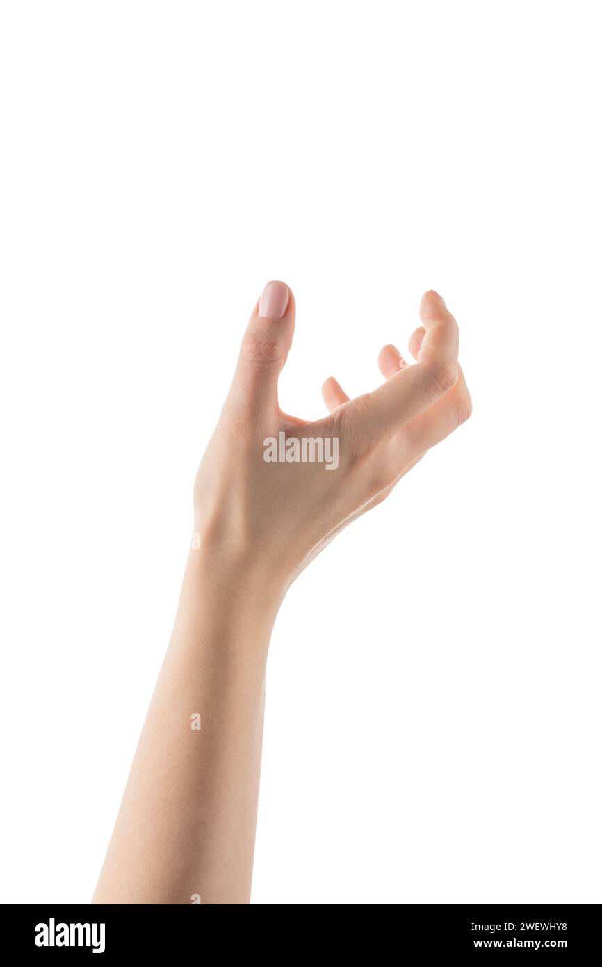 Young woman hand hold something isolated on white background, high detailed Stock Photo - Alamy