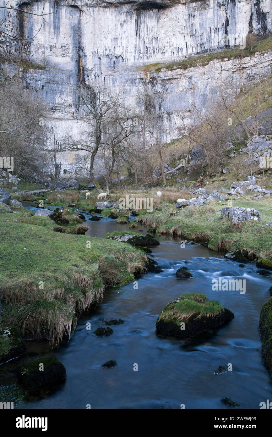 Malham Beck flowing out from under Malham Cove, in the Yorkshoire Dales ...