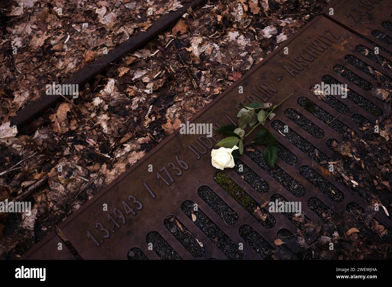 A white rose is placed at the 'Gleis 17', Track 17, the memorial site ...