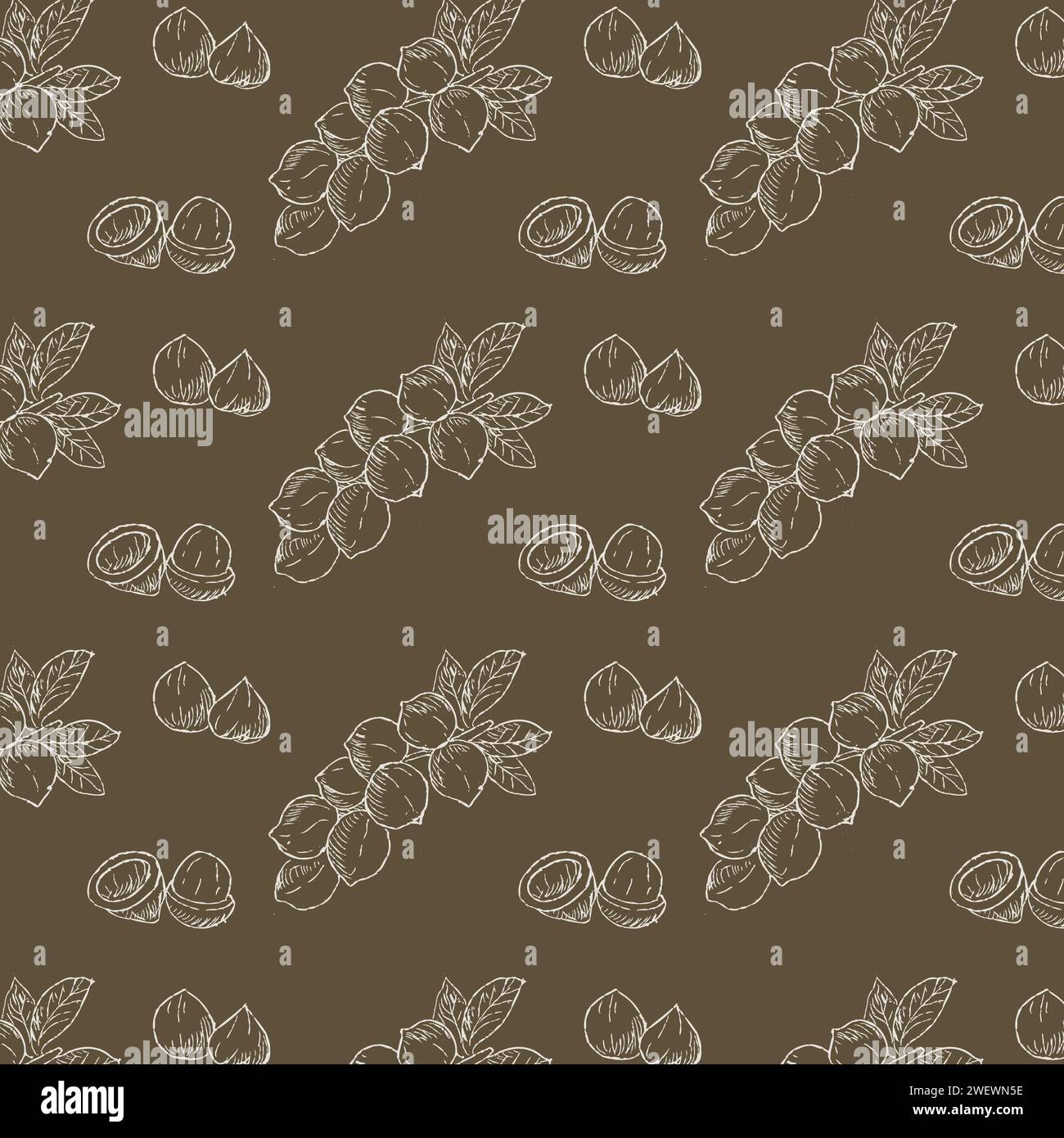 Hand drawn Macadamia nuts Background. Vector illustration on brown ...