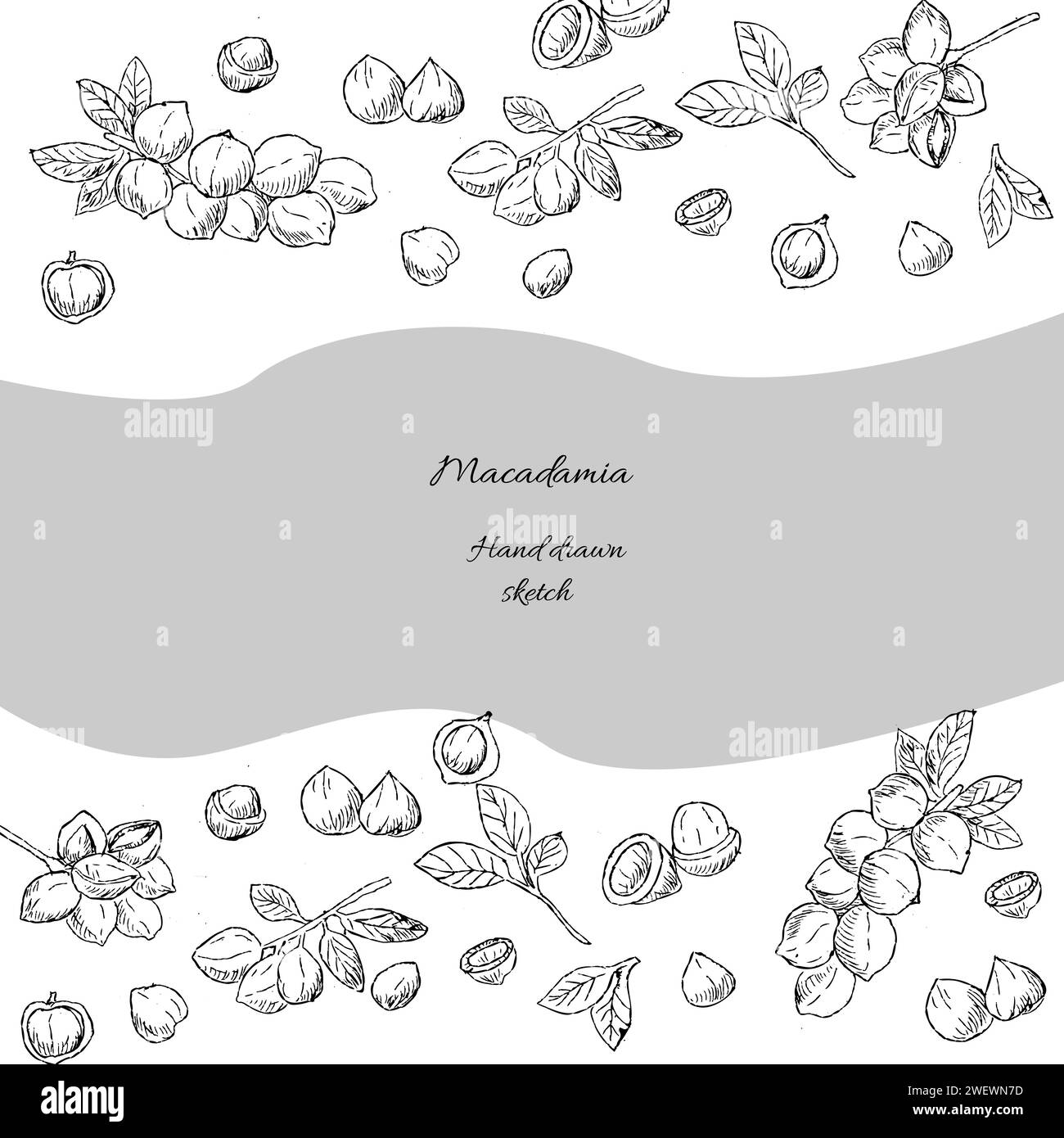 Parts of the tree Black and White Stock Photos & Images - Alamy