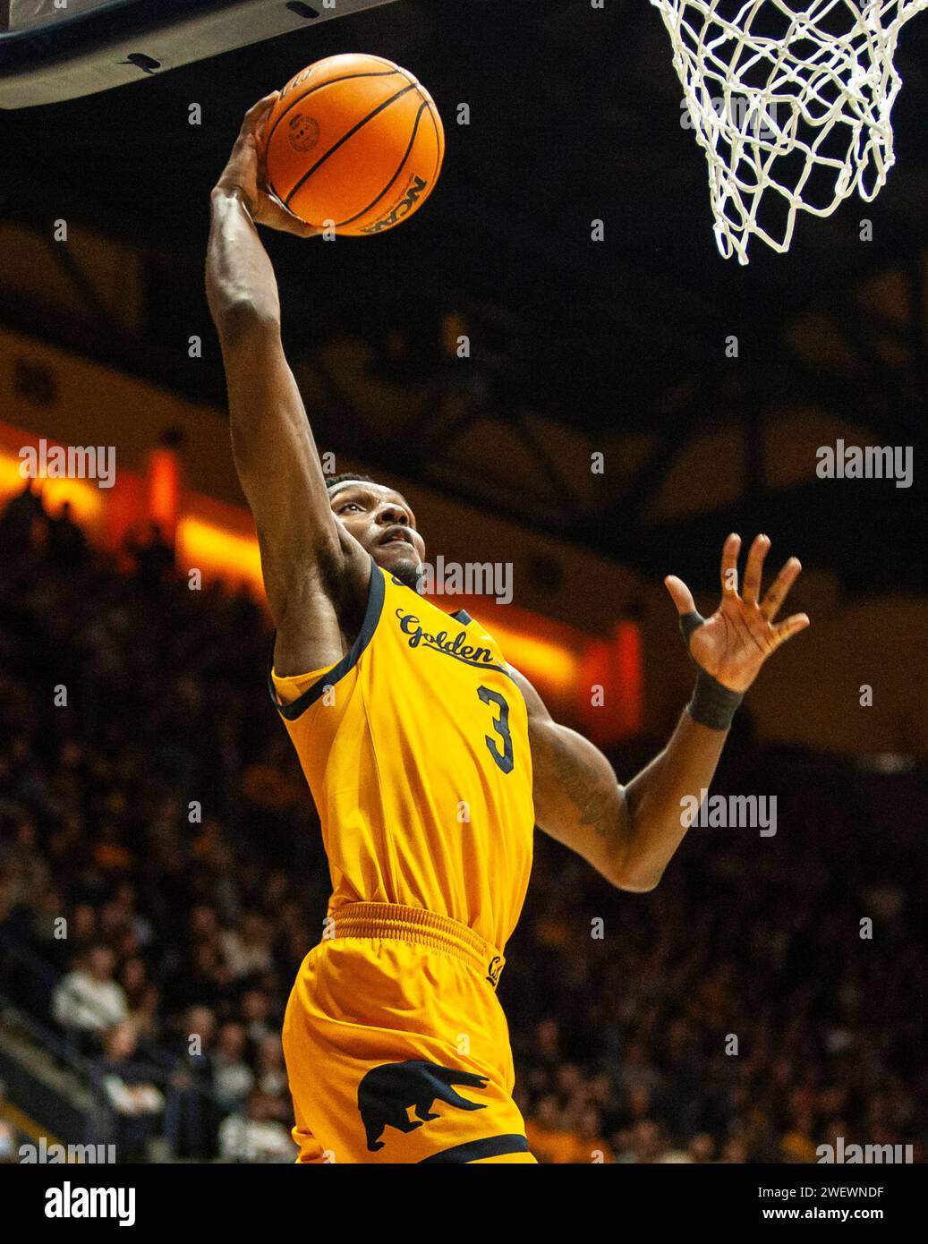 Haas Pavilion Berkeley Calif, USA. 26th Jan, 2024. CA U.S.A. California ...