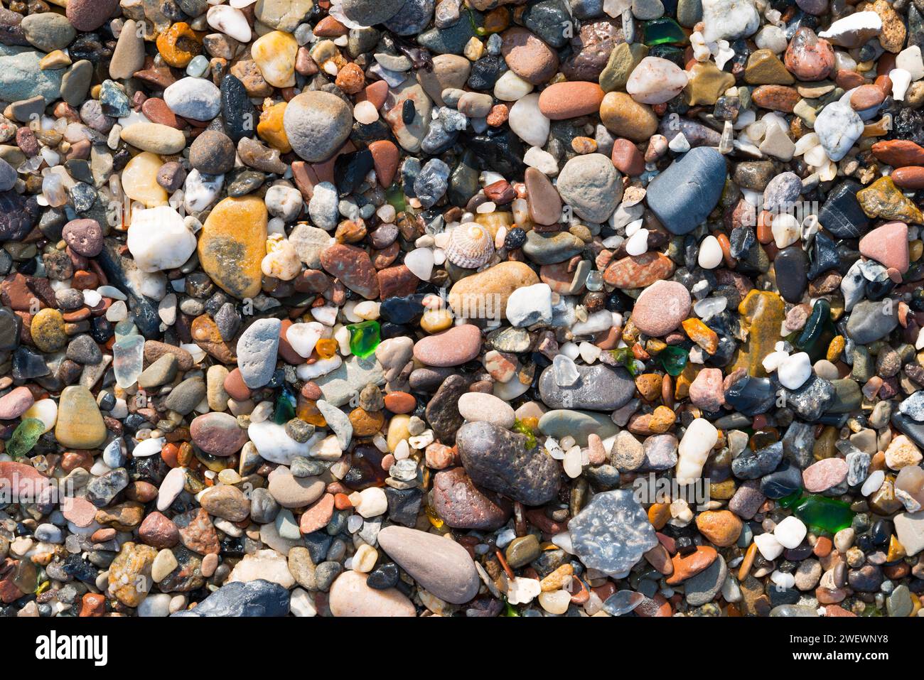Close-up of different coloured pebbles, snail shell of a sea snail and ...
