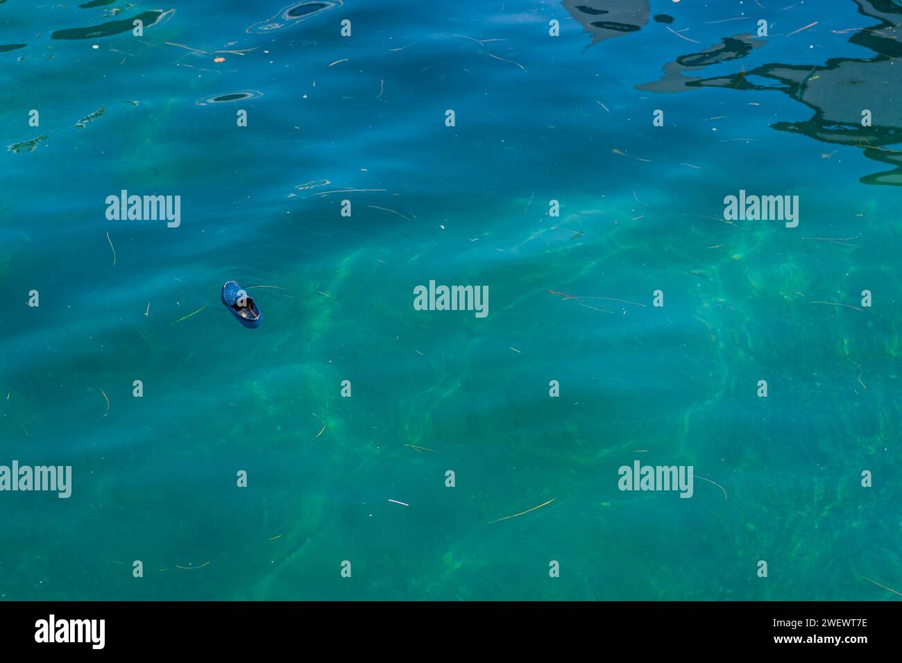 Lost leather shoe floating in greenish ocean water Stock Photo - Alamy