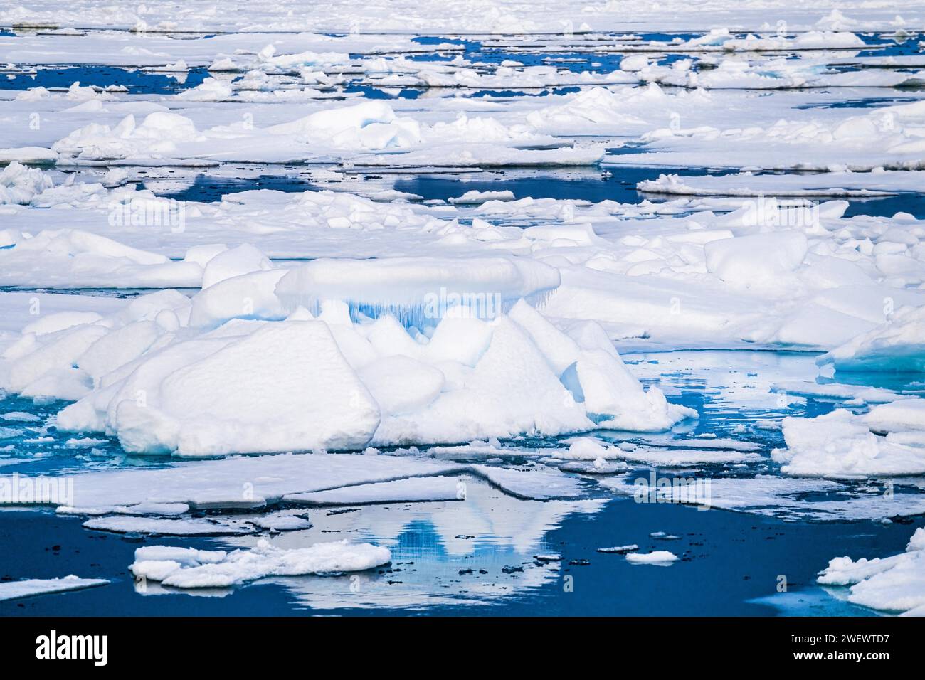 Summer in the arctic hi-res stock photography and images - Alamy