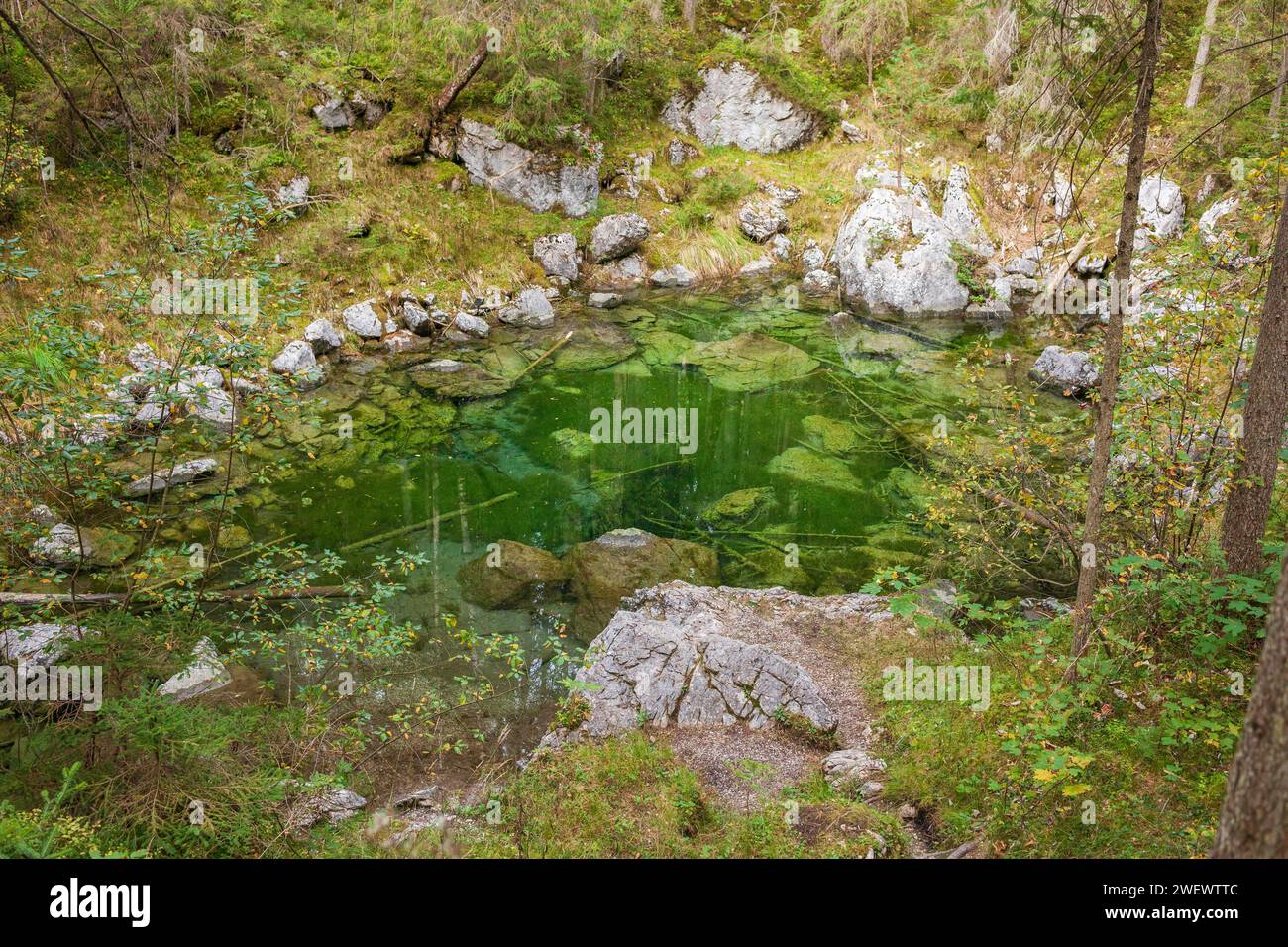 Pond with stones at the Eibsee lake, Grainau, Werdenfelser Land, Upper ...