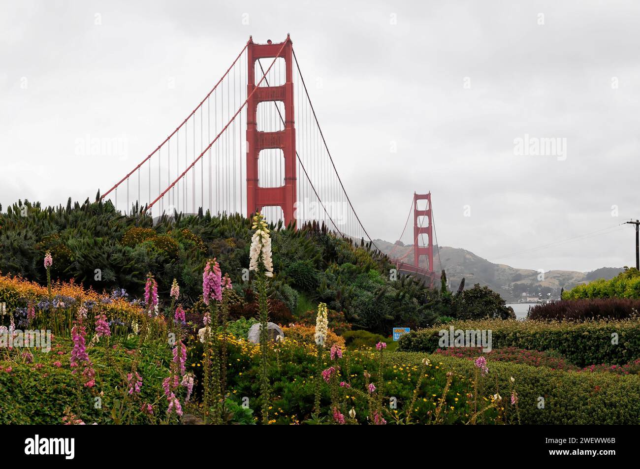 Cross-section of the wire ropes, Golden Gate Bridge, San Francisco ...