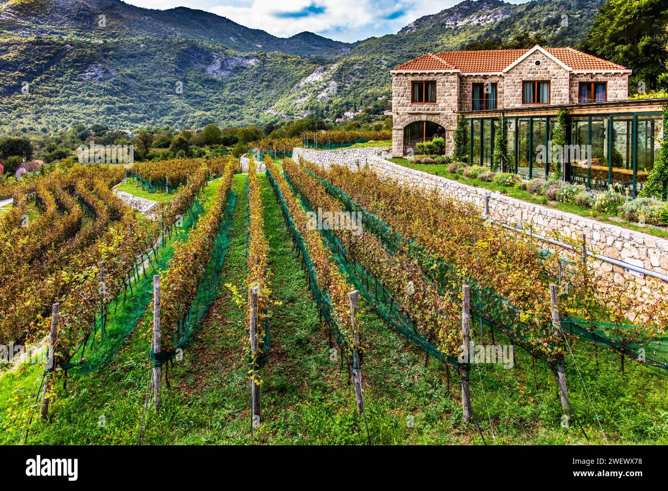 Small, modern family winery Marcovic near Cetinje, Montenegro, Cetinje ...