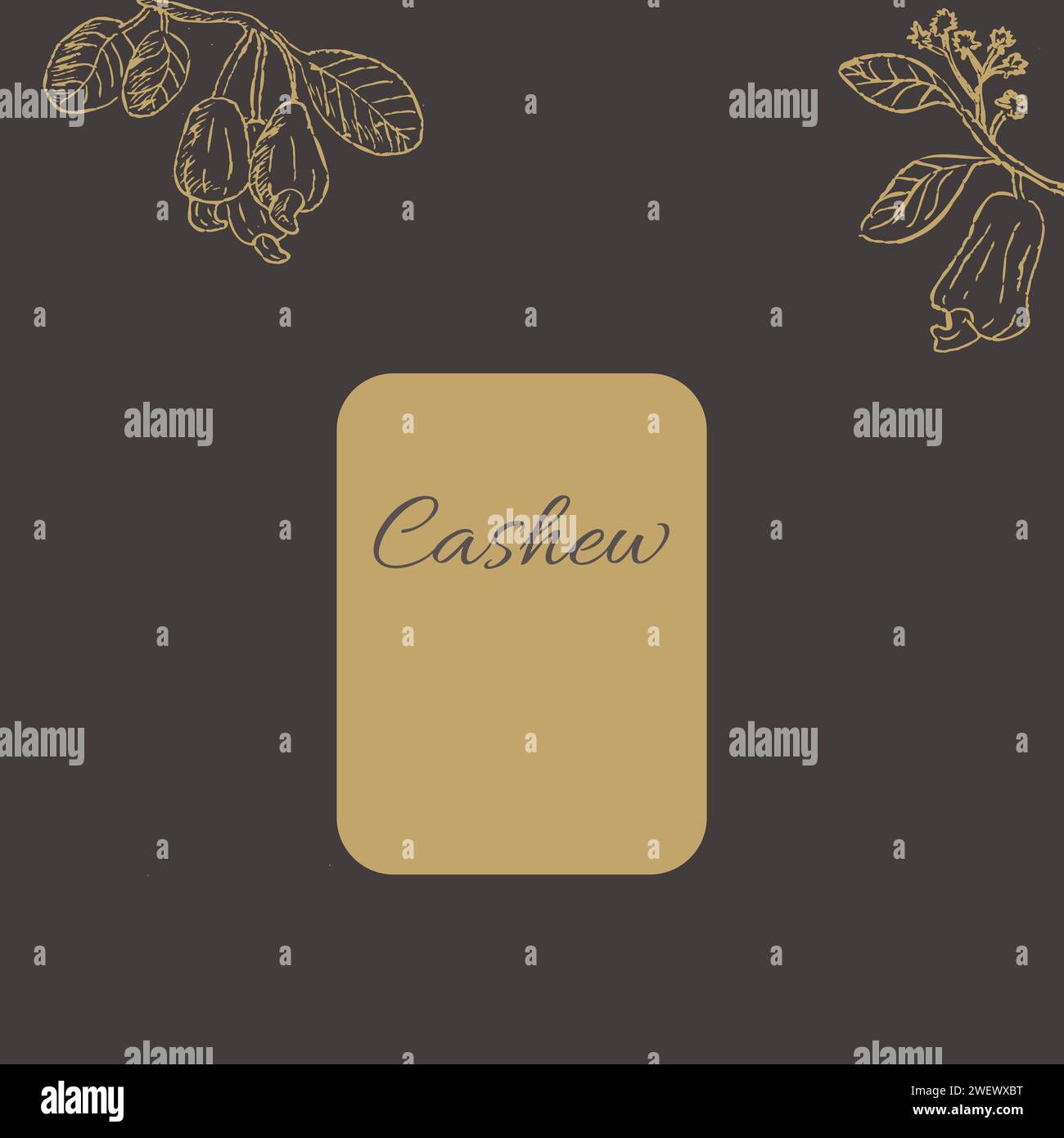 Cashew cover template Hand drawn design. Vector illustration on dark ...