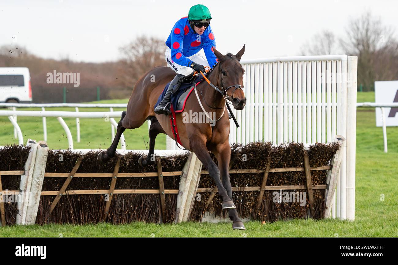 Juvenile hurdling hi-res stock photography and images - Alamy