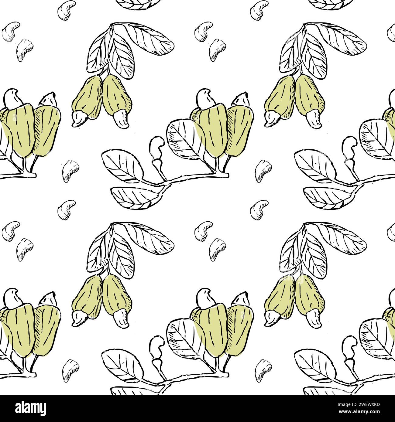 Seamless floral pattern with cashew nut branch and peeled nuts. Vector ... Seamless floral pattern with cashew nut branch and peeled nuts. Vector ...
