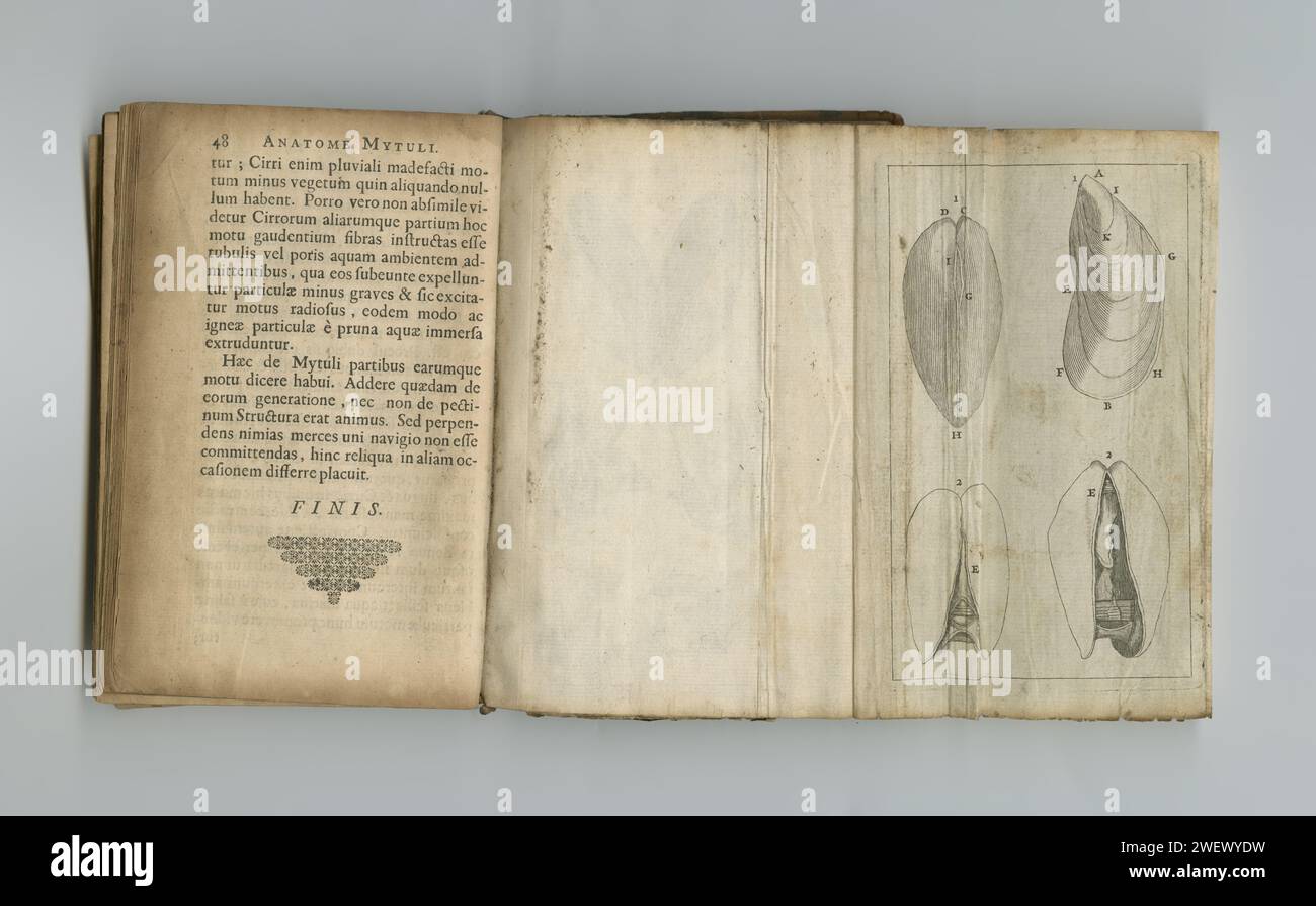 Medical, anatomy and drawing in book on paper in antique, vintage or ...