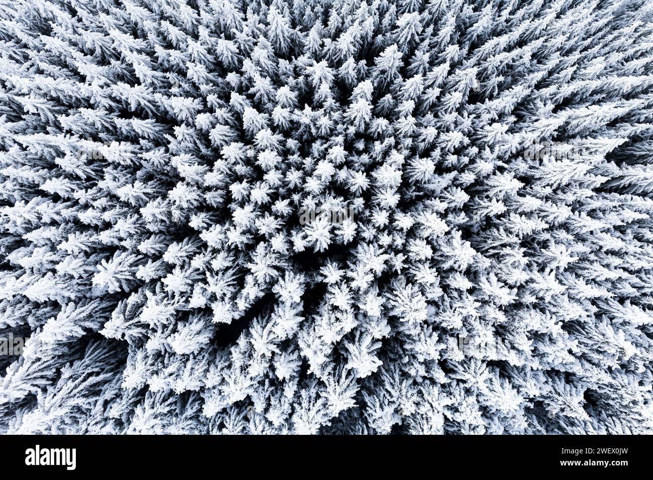Top view tree icons hi-res stock photography and images - Alamy