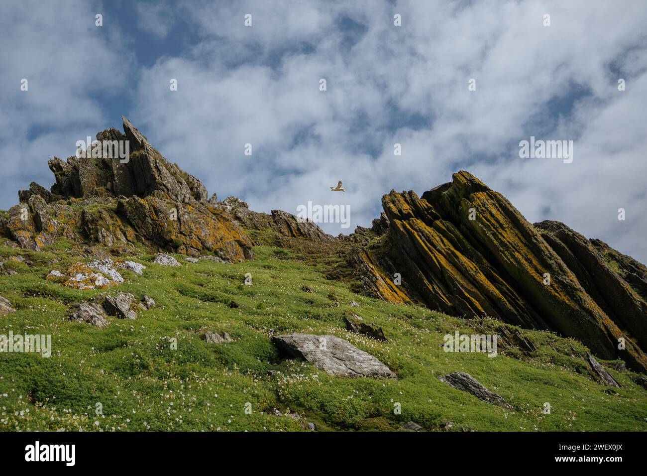 Skellig michael cruise hi-res stock photography and images - Alamy