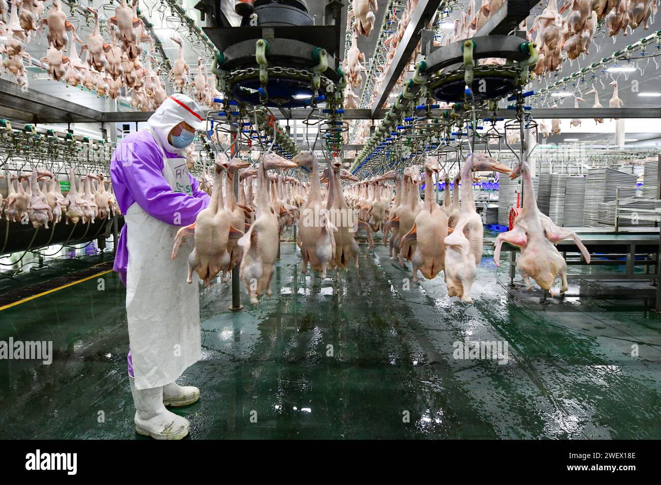 Quality checks hi-res stock photography and images - Alamy