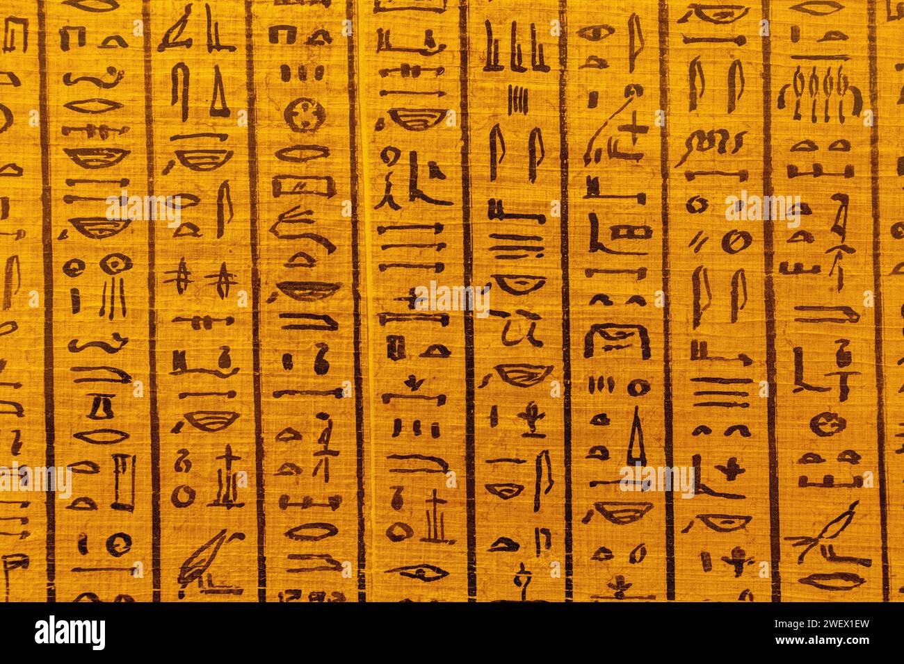 A fragment of papyrus with Egyptian hieroglyphs Stock Photo - Alamy