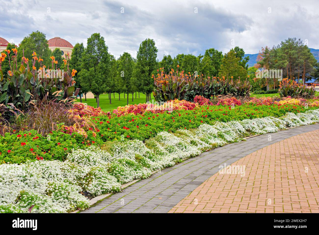 Wide open meadow in a park with paved pathway, blossoming flowers along ...