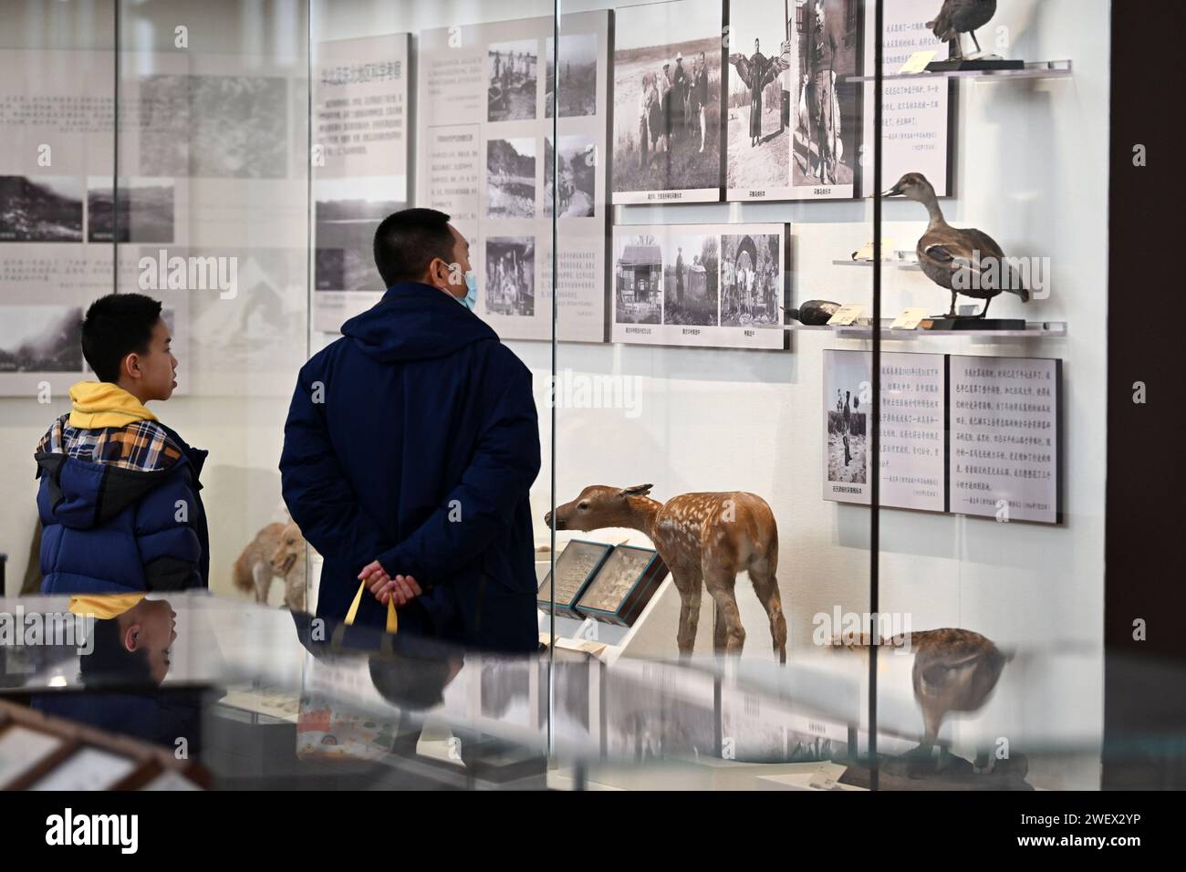 Tianjin. 27th Jan, 2024. Tourists view exhibits at the Beijiang Museum ...