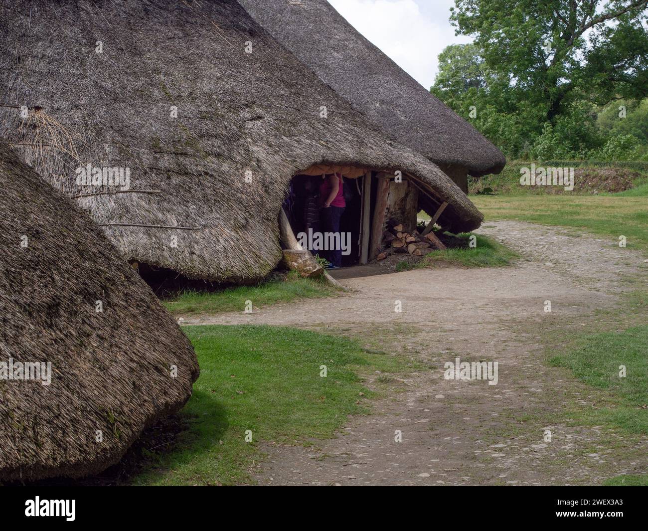 Round Houses at Castell Henllys archaeological site in Pembrokeshire ...