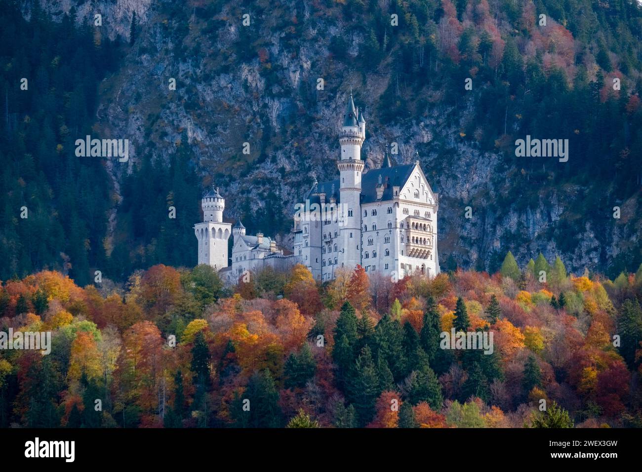 The castle Neuschwanstein, surrounded by colourful trees, in autumn ...