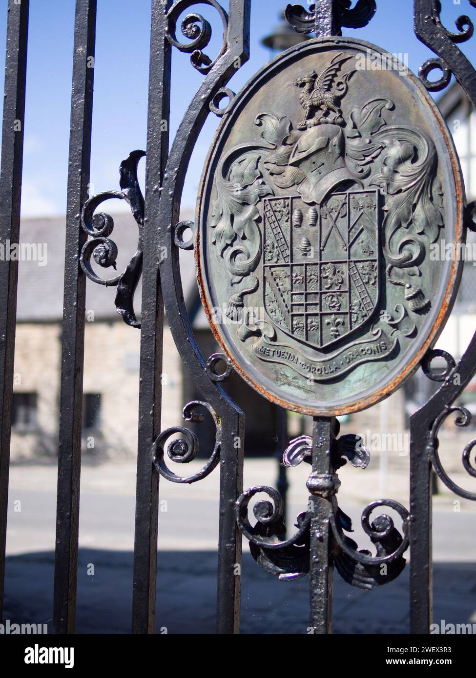 Details on the iron gates of the Y Plas estate in the market town of ...