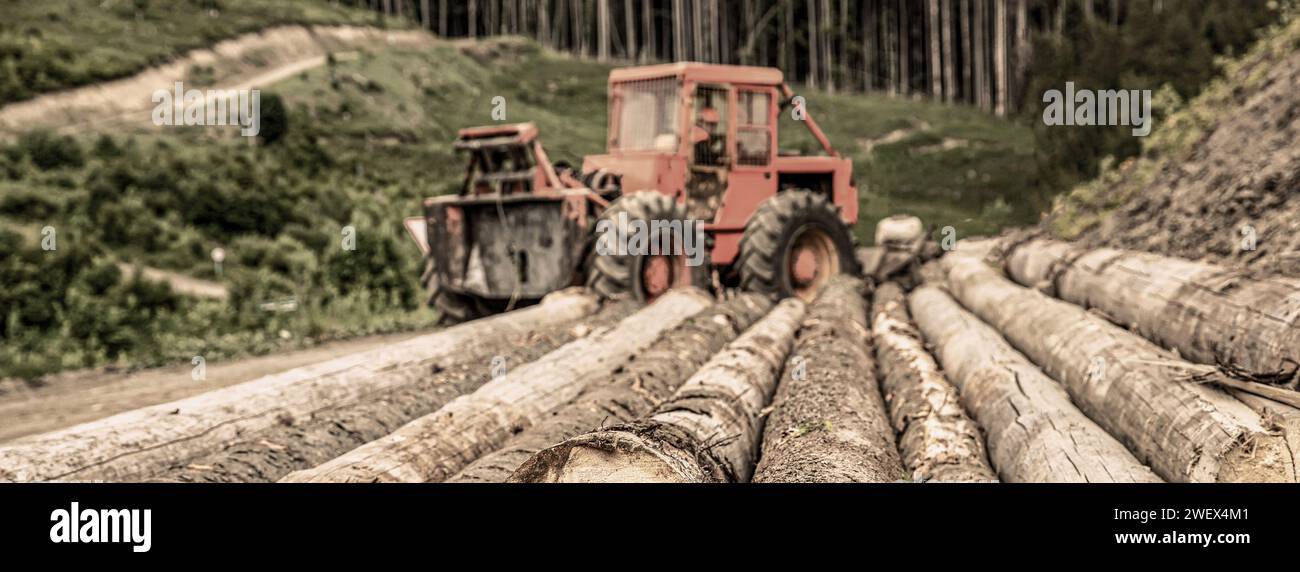 Forest industry. Lumberjack with modern harvester working in a forest ...