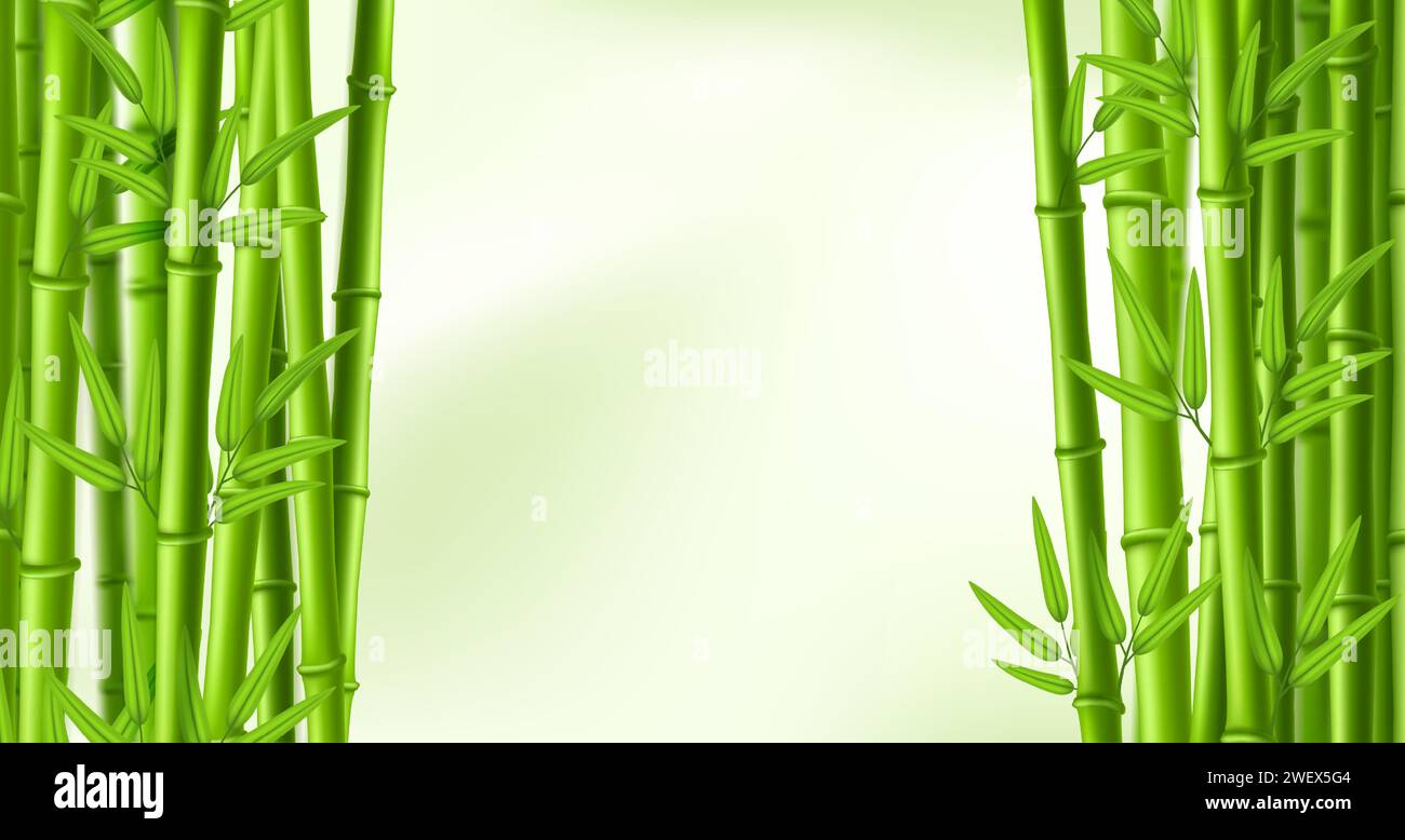Bamboo frame. Green banner framing with bamboo stems and leaves ...