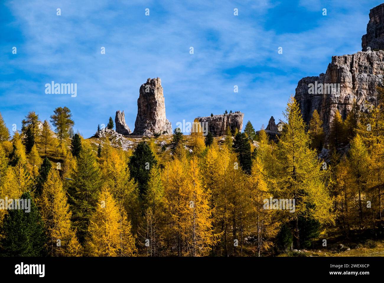Colourful larch trees on the slopes around Falzarego Pass in autumn ...