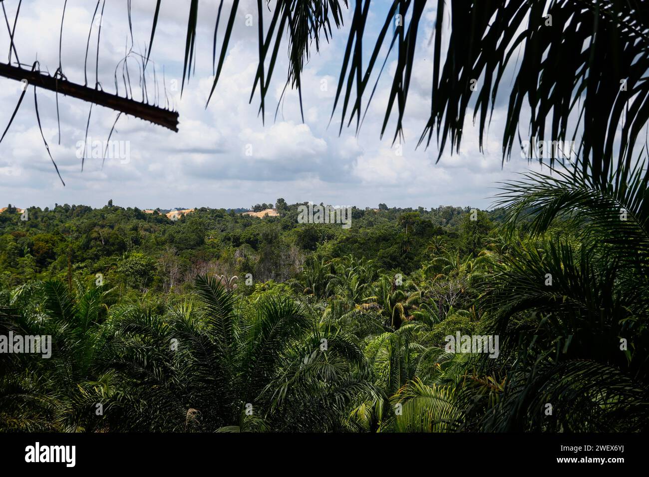 Selengau, Sarawak, East Malaysia. 26th Jan, 2024. A general view of a ...