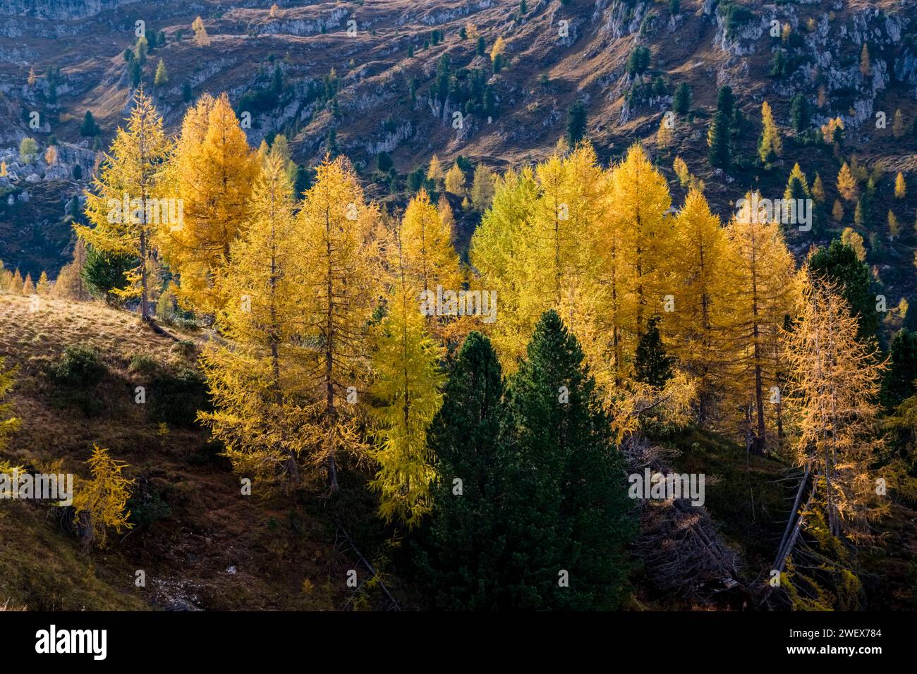 Der torri hi-res stock photography and images - Alamy