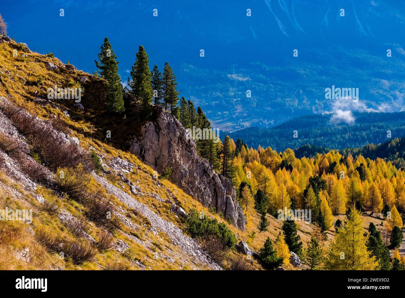 Colourful larch and pine trees, growing on a rocky slope below the rock ...