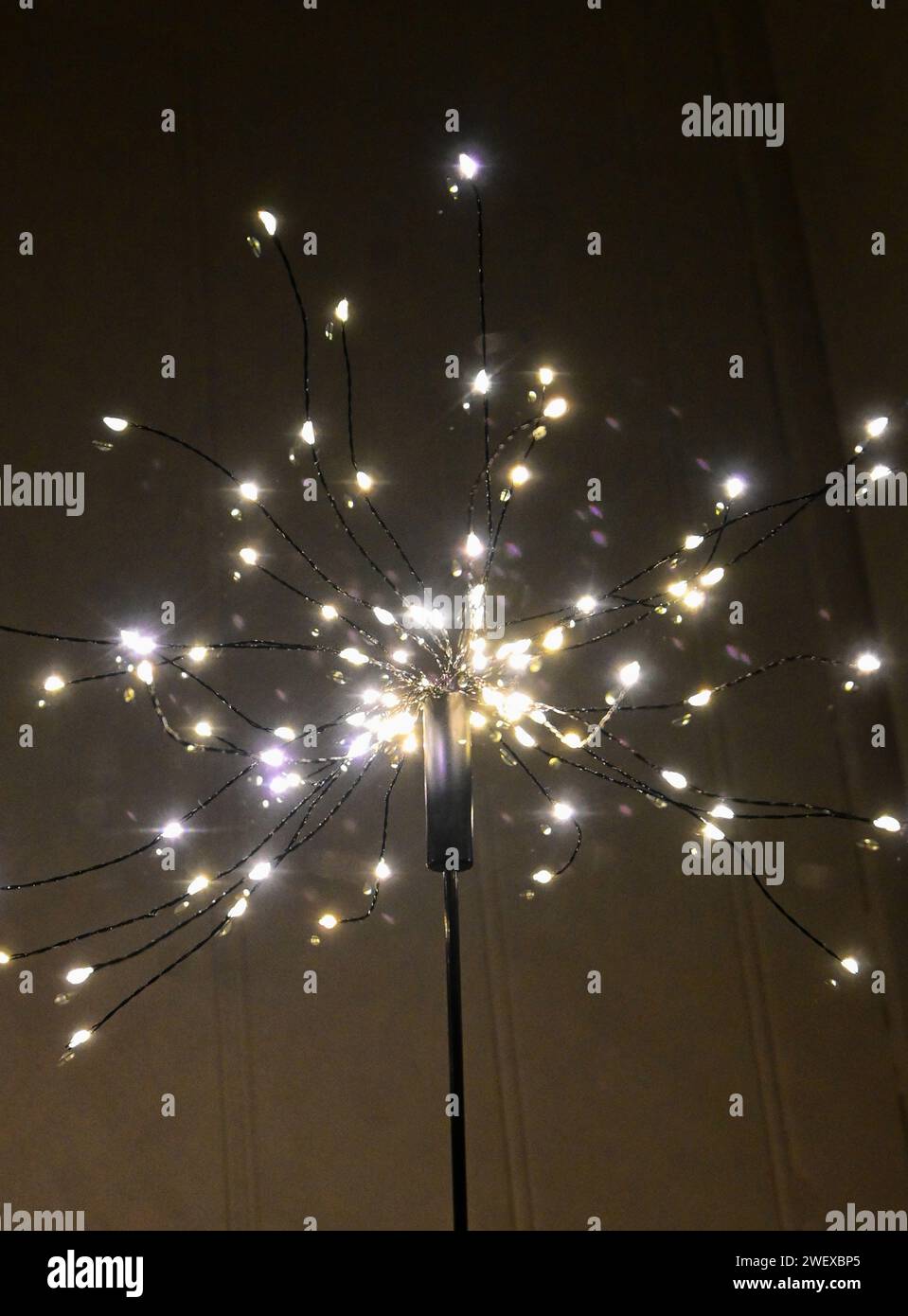 designer tree lamp in shop window Stock Photo - Alamy