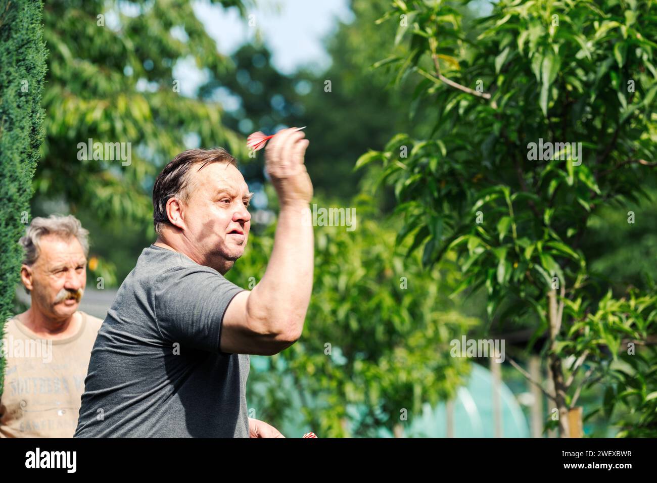 Man playing a game of darts. He needs concentration and perfection to ...