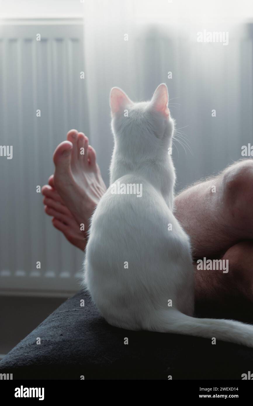 White fluffy feet hi-res stock photography and images - Alamy