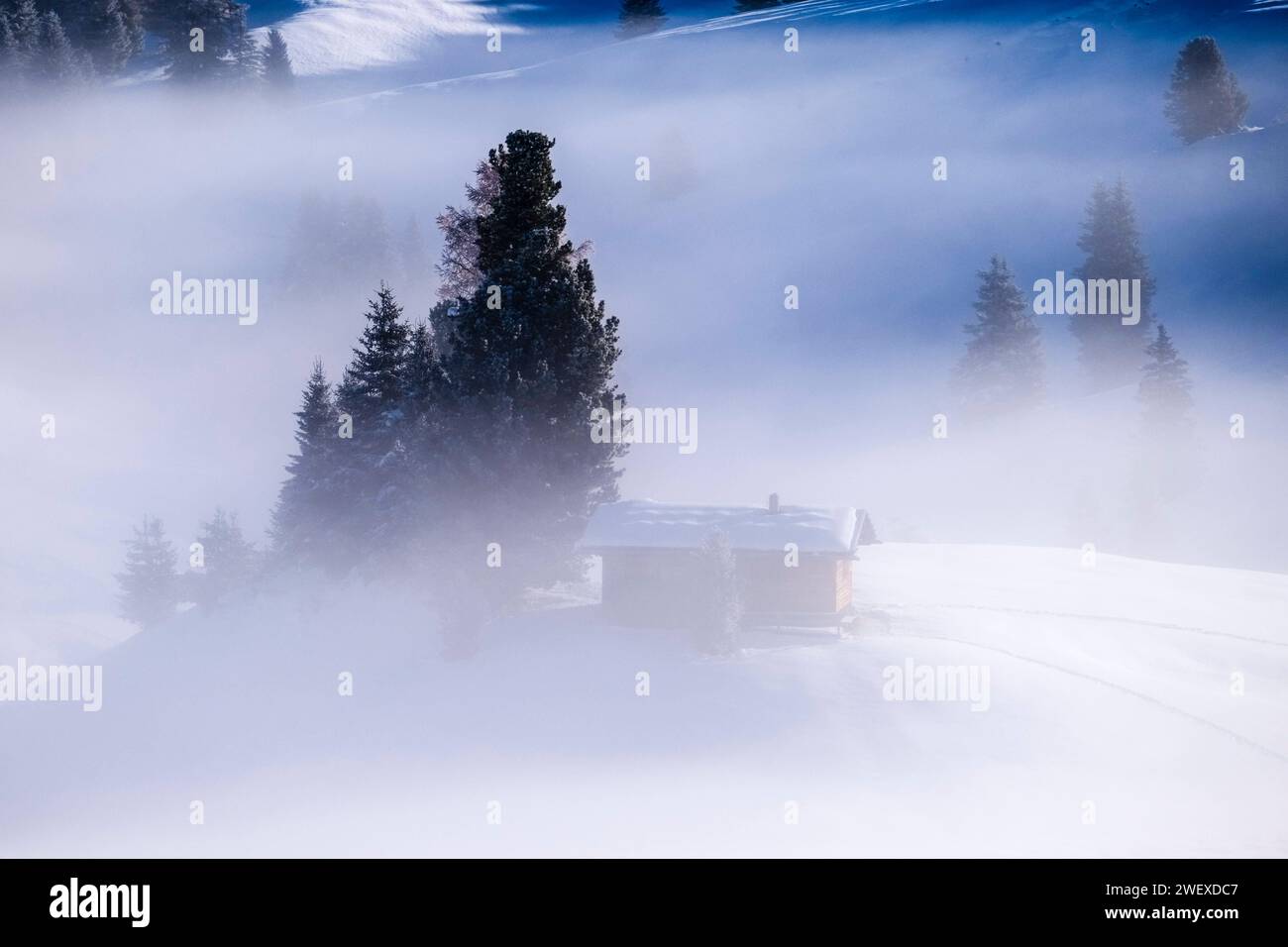 Hilly agricultural countryside with fog, a wooden hut, trees and snow ...