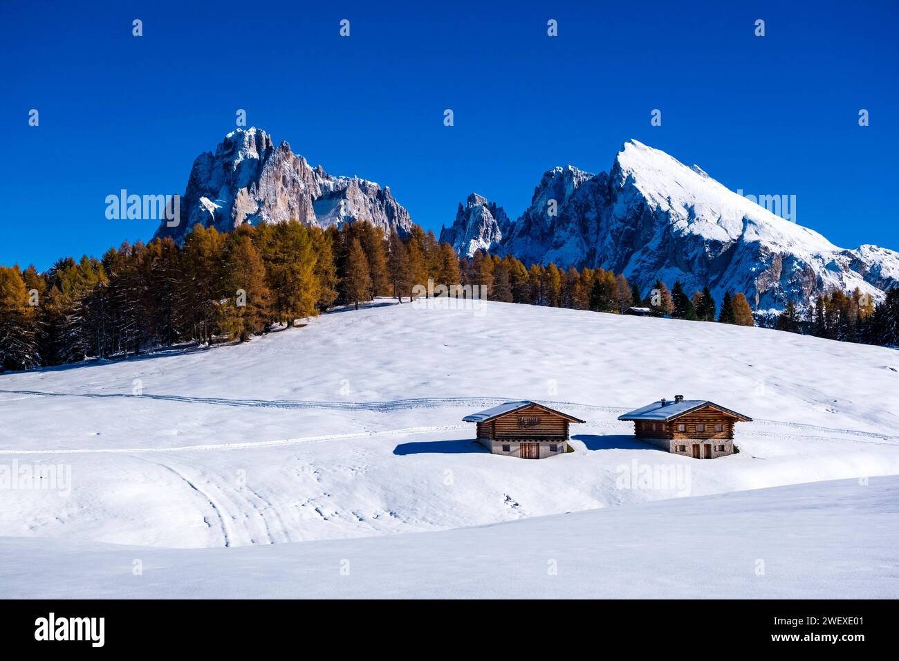 Hilly agricultural countryside with trees, wooden huts and snow-covered ...