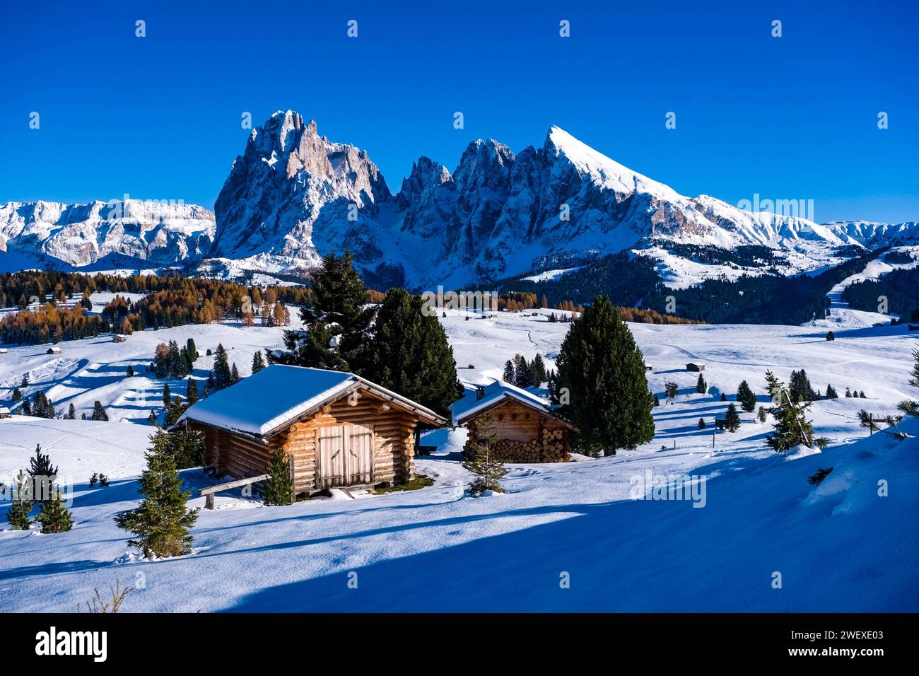 Hilly agricultural countryside with trees, wooden huts and snow-covered ...