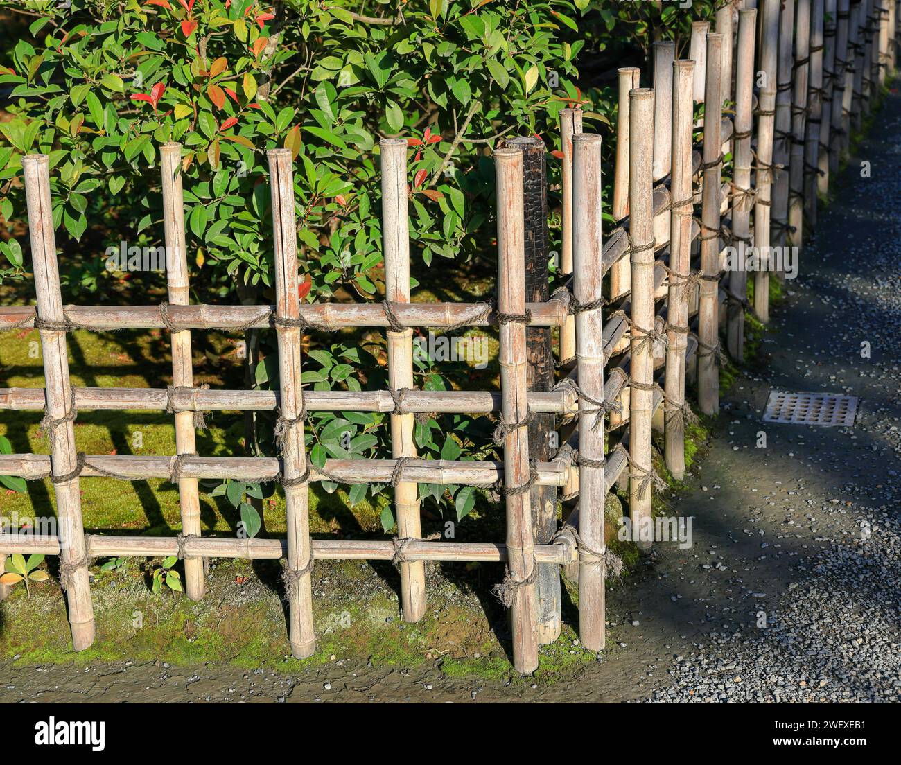 japanese style bamboo fence panel Stock Photo - Alamy