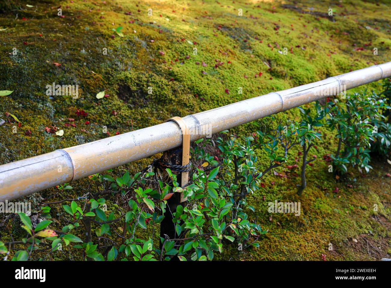 japanese tradition style bamboo fence panel Stock Photo - Alamy