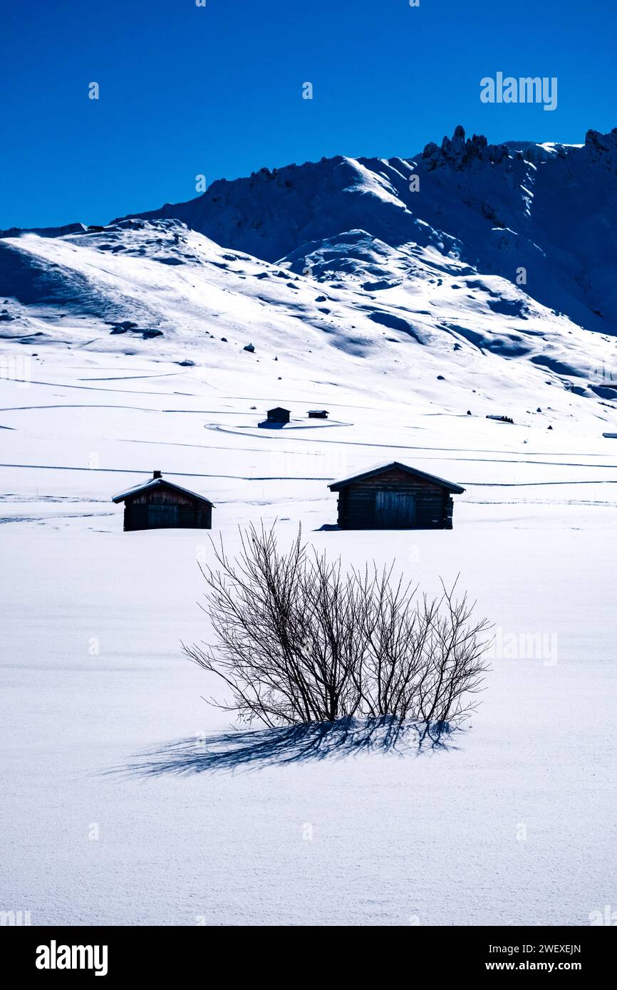 Hilly agricultural countryside with a dry bush and two wooden huts on ...