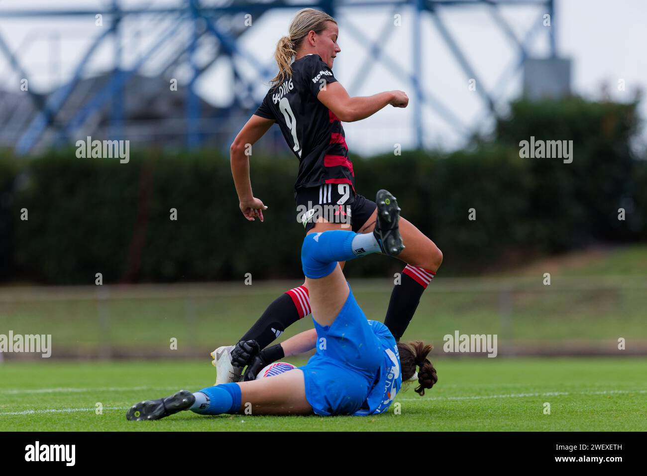 Sydney, Australia. 27th Jan, 2024. Sophie Harding of the Wanderers ...