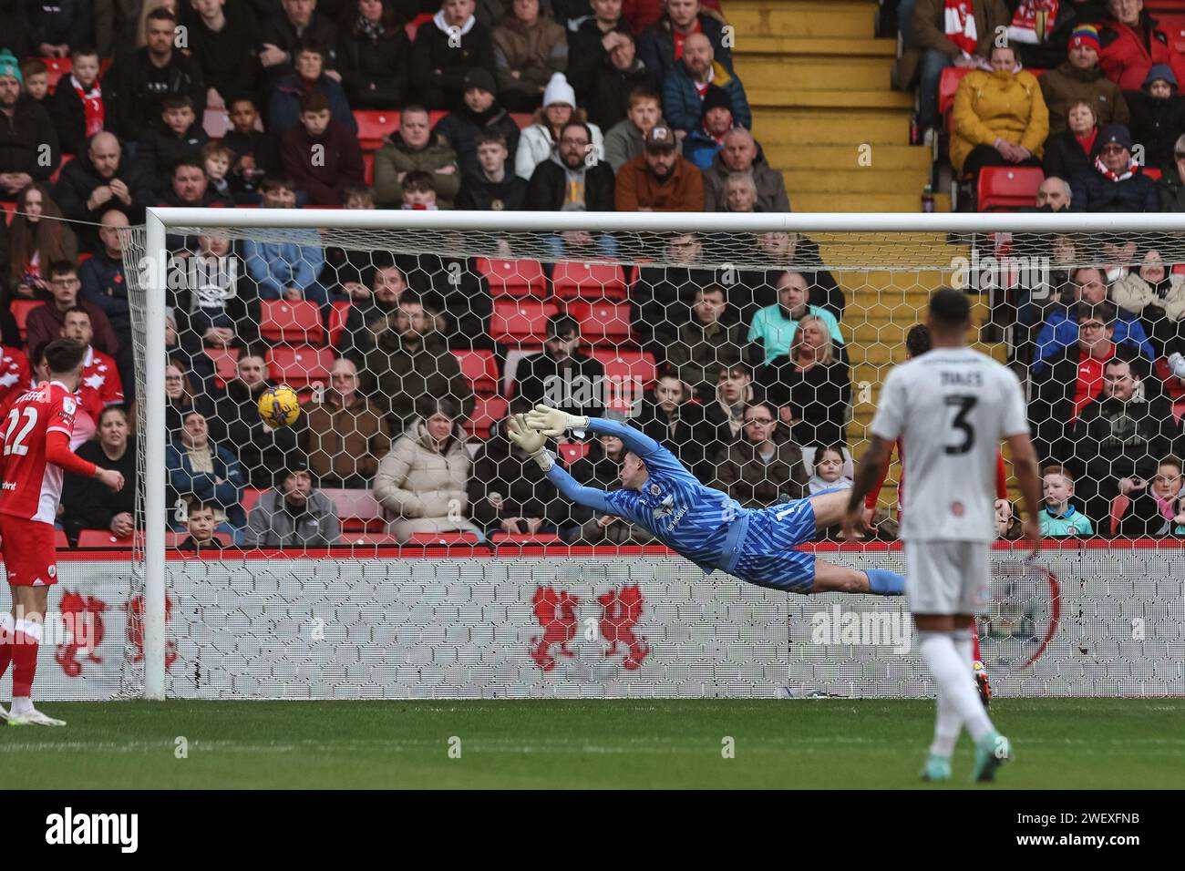 Reece cole hi-res stock photography and images - Alamy