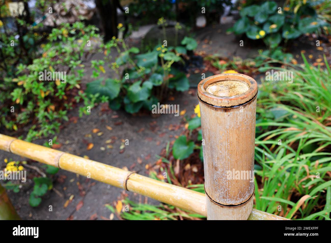 japanese tradition style bamboo fence panel Stock Photo - Alamy