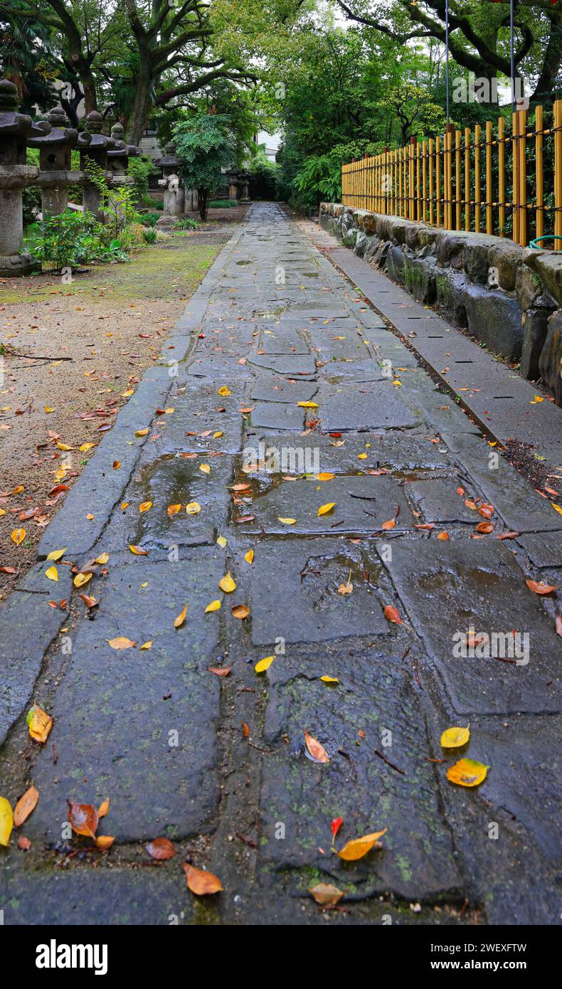 Alley pedestrian path along hi-res stock photography and images - Alamy